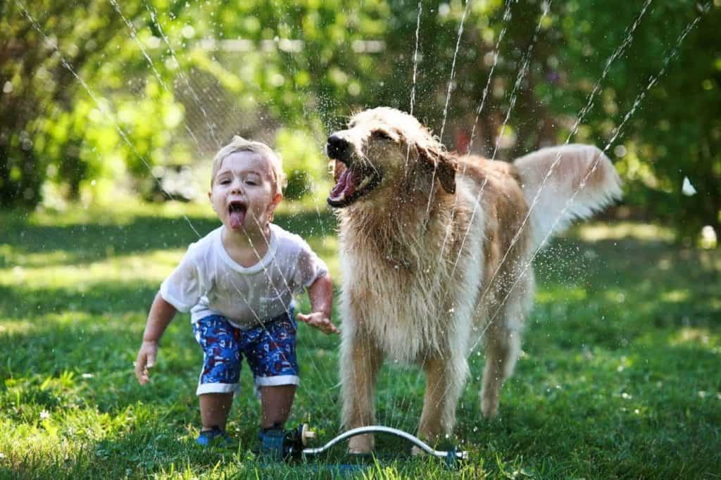 A Kid and Their Pet: The Benefits Pets Have on Kids | Petsies
