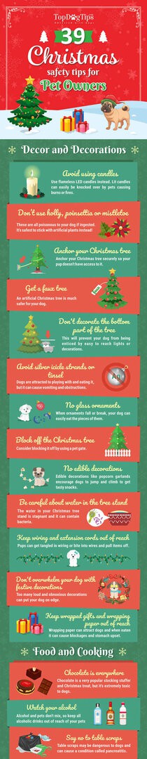 39 Christmas Safety Tips for Pets Owners [Infographic] | Petsies
