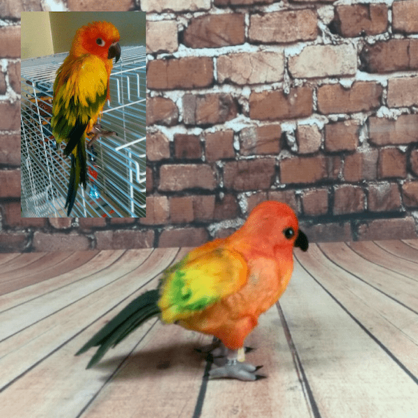 Bird Stuffed Animals - Bird Plushies | My Petsies