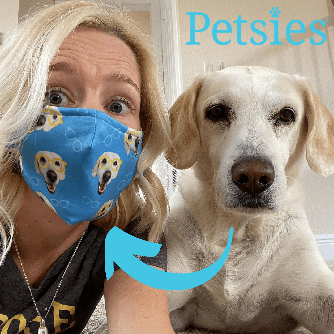 About Petsies Stuffed Animals | Petsies