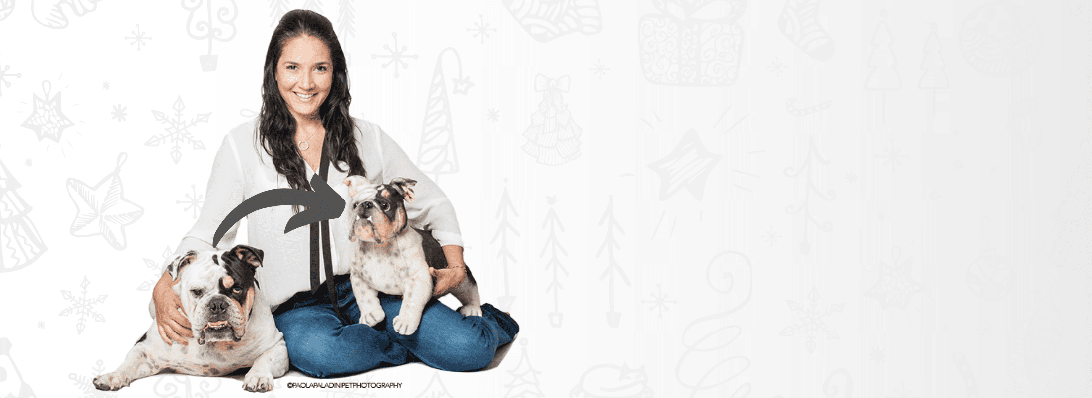 Custom Pet Stuffed Animals, Personalized Pet Gifts | Petsies